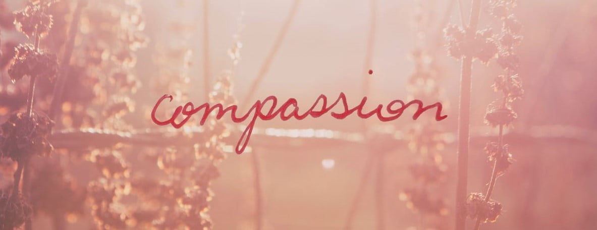 What it takes to be an SUDP ‣ Recovery Begins Here: (360) 876-9430